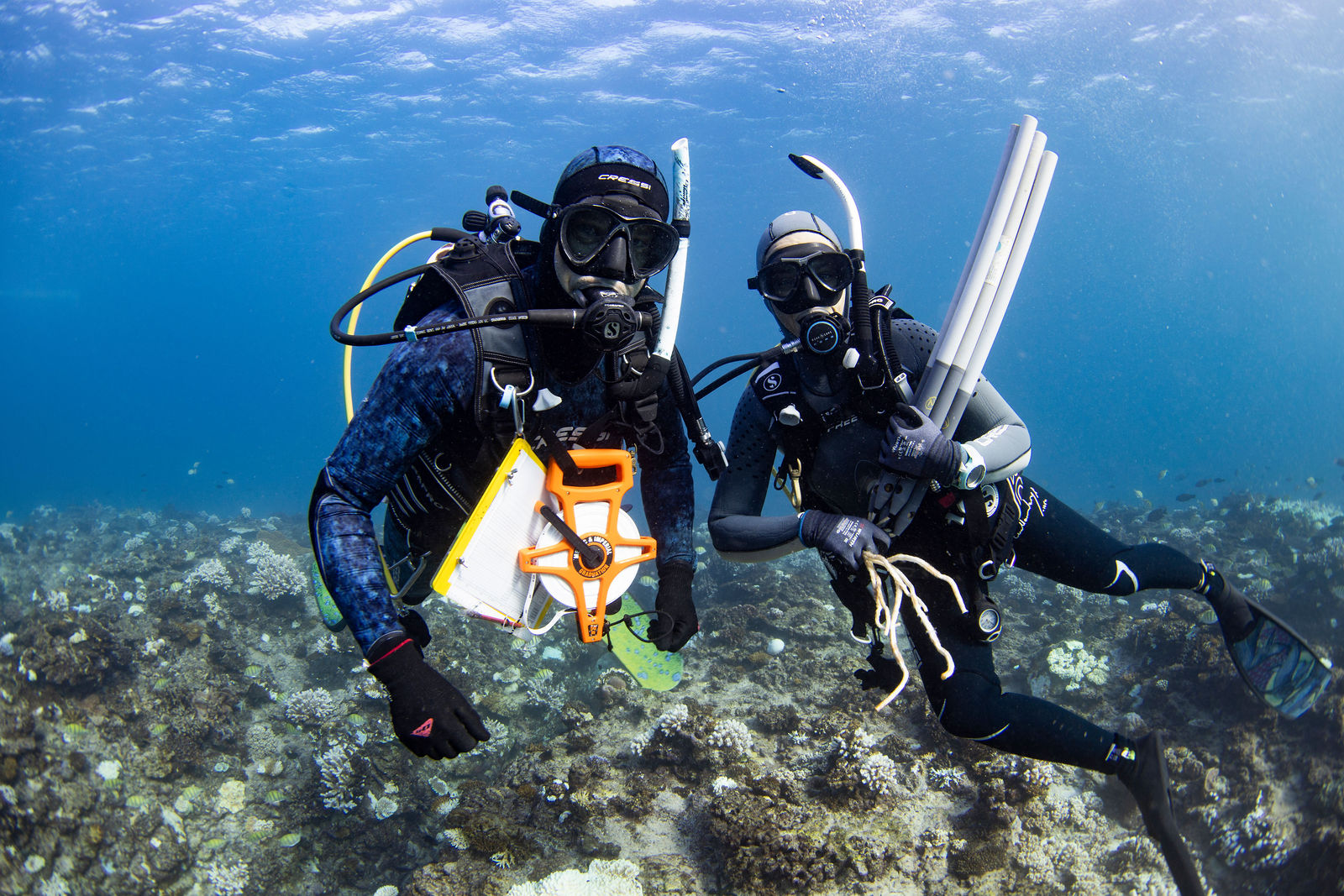 Dr Damian Thomson -Ningaloo 2025 Bleaching event for Aus Geo by Blue ...