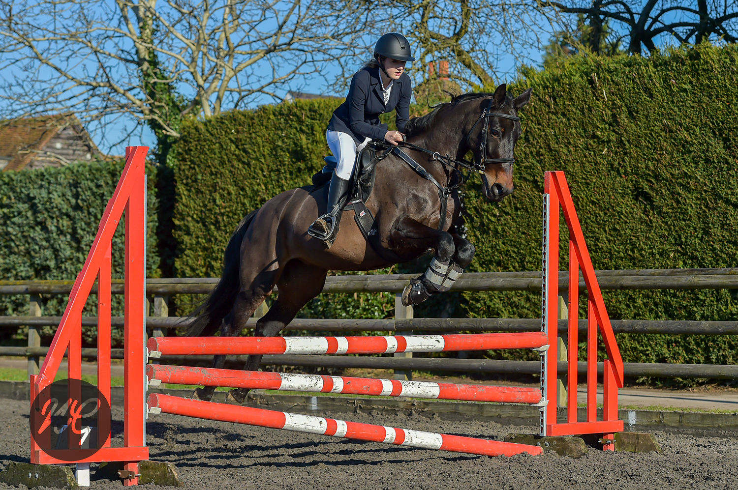 Snowball Farm Unaffiliated Show Jumping by Neil Gregory Photography