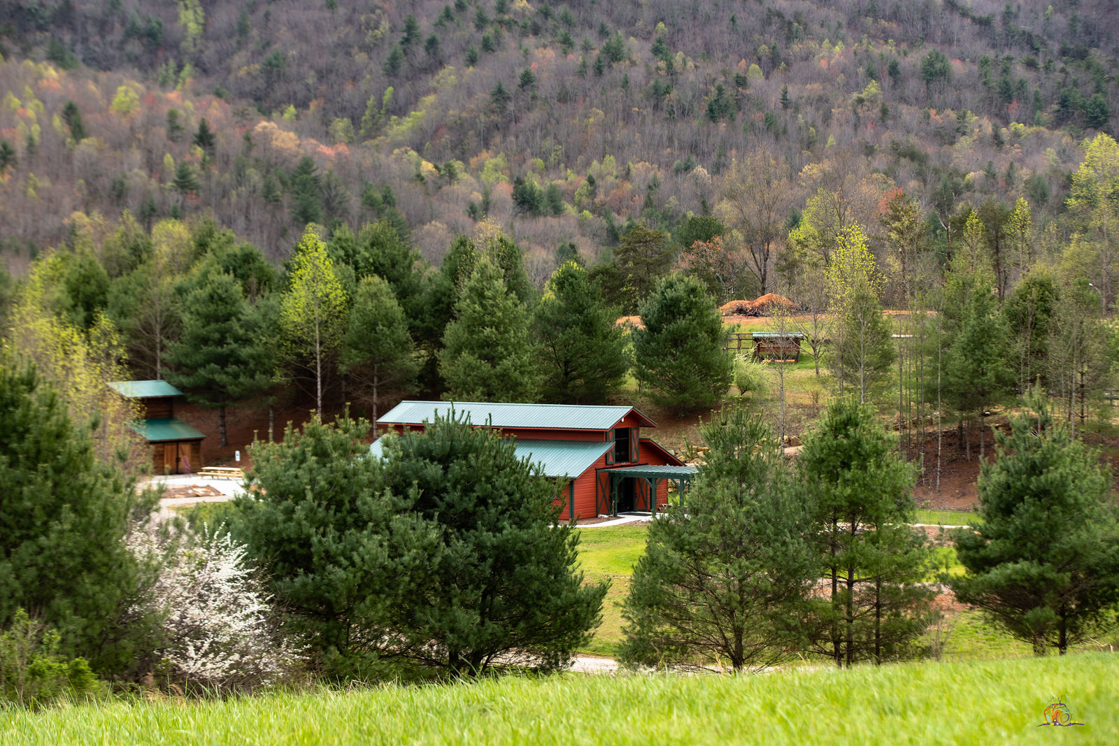 Camp Harrison by Times Treasured Studios