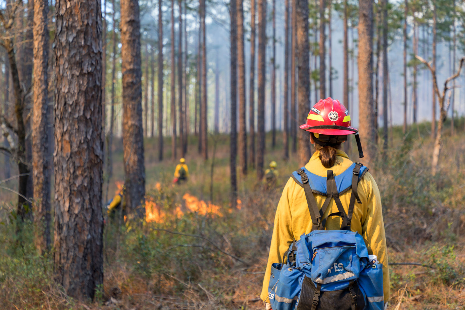 U.S. Forest Service - Controlled Burn by Carter Photography & Design