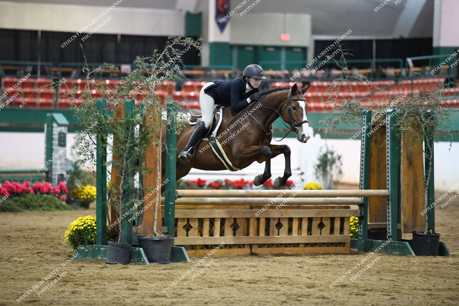 Triangle Farms Fall Finale by Kirsten Hannah Photography LLC