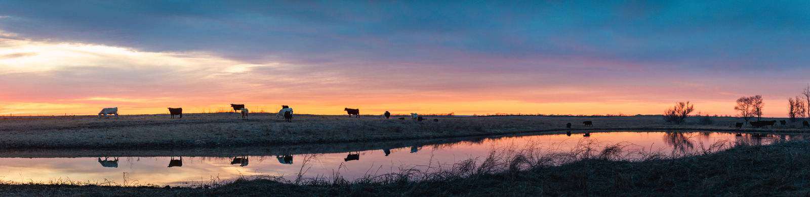 Coyle Family by Lammers Design + Photography