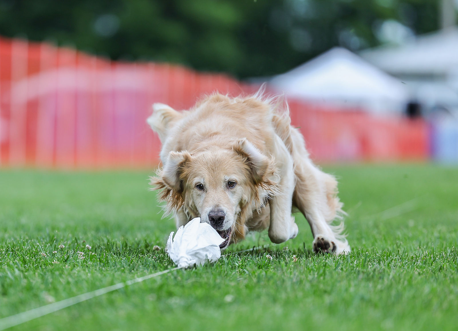 Events - Wander into Focus