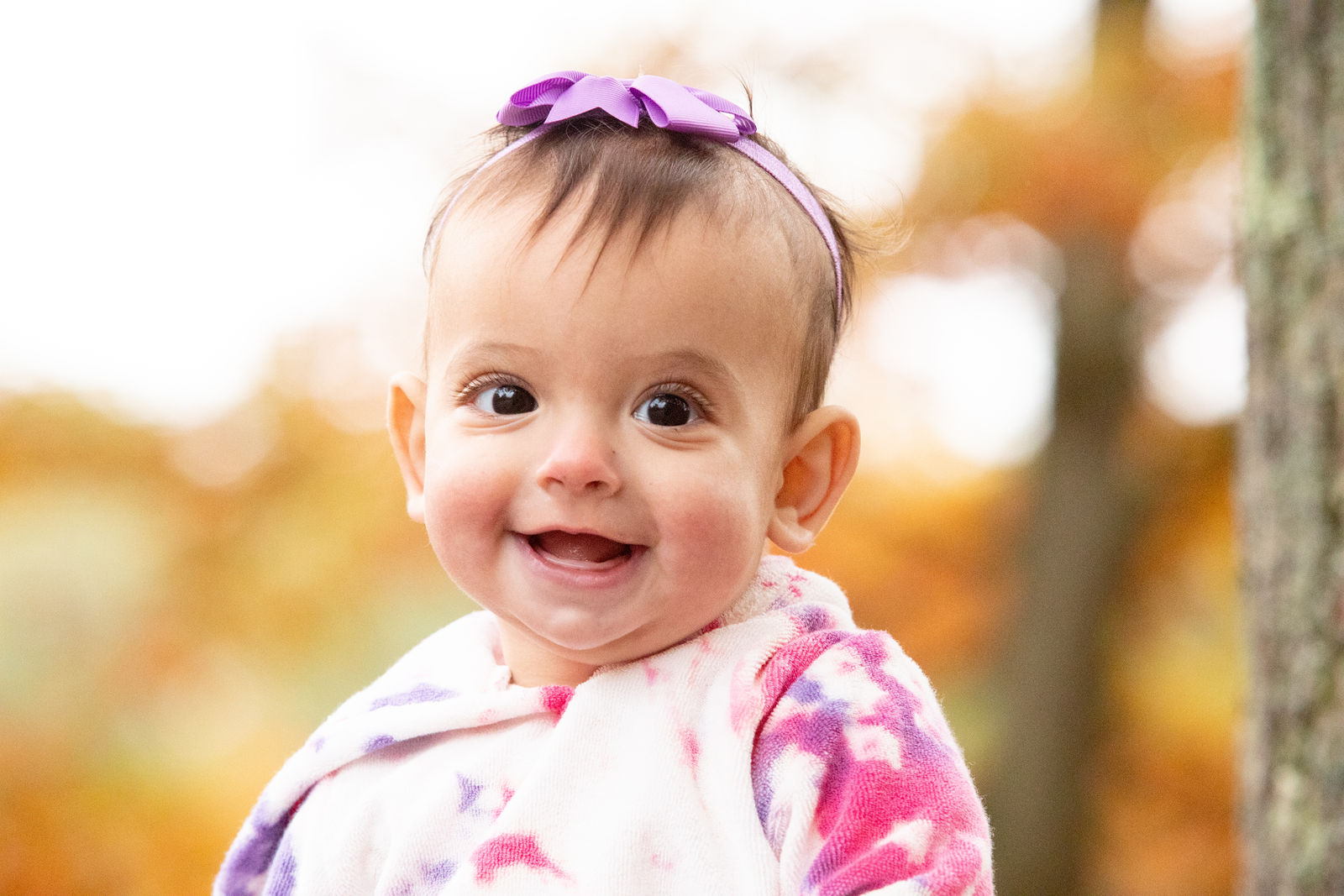 Cohen Autumn Session by Milestone Images