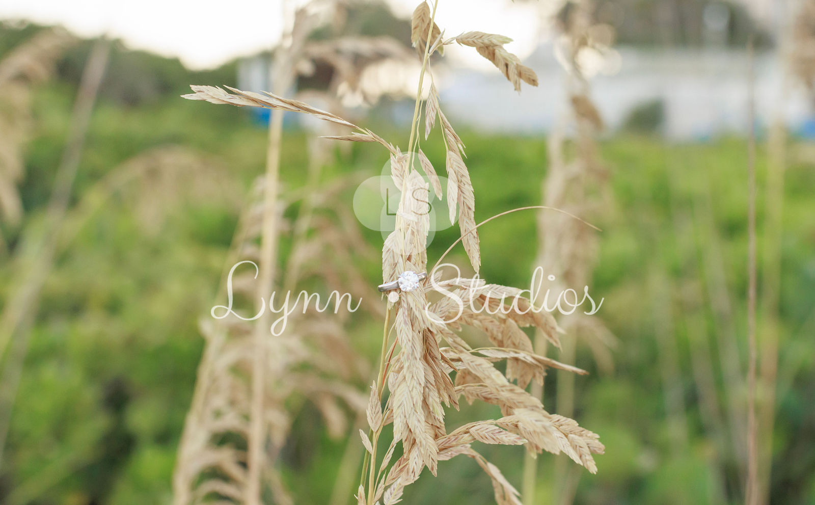 Jim Horsley by Lynn Studios, Inc