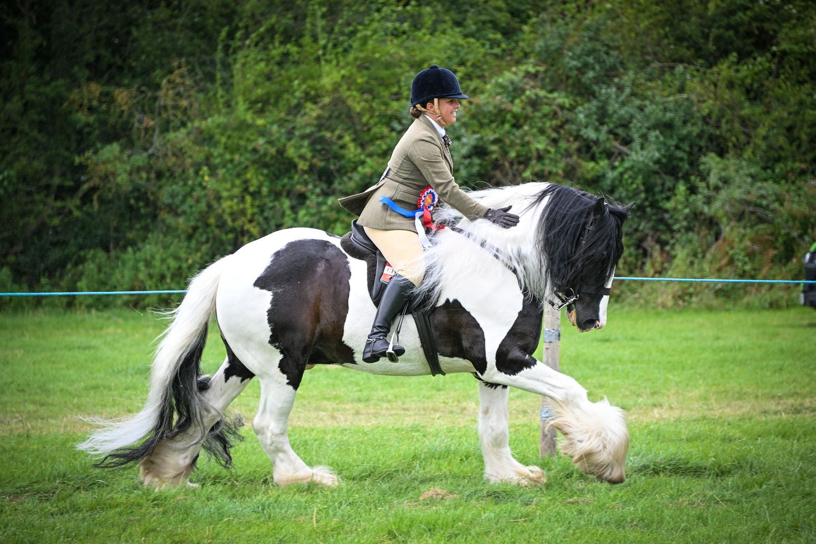 Denbigh & Flint Show 2024 by EquinePix Photography