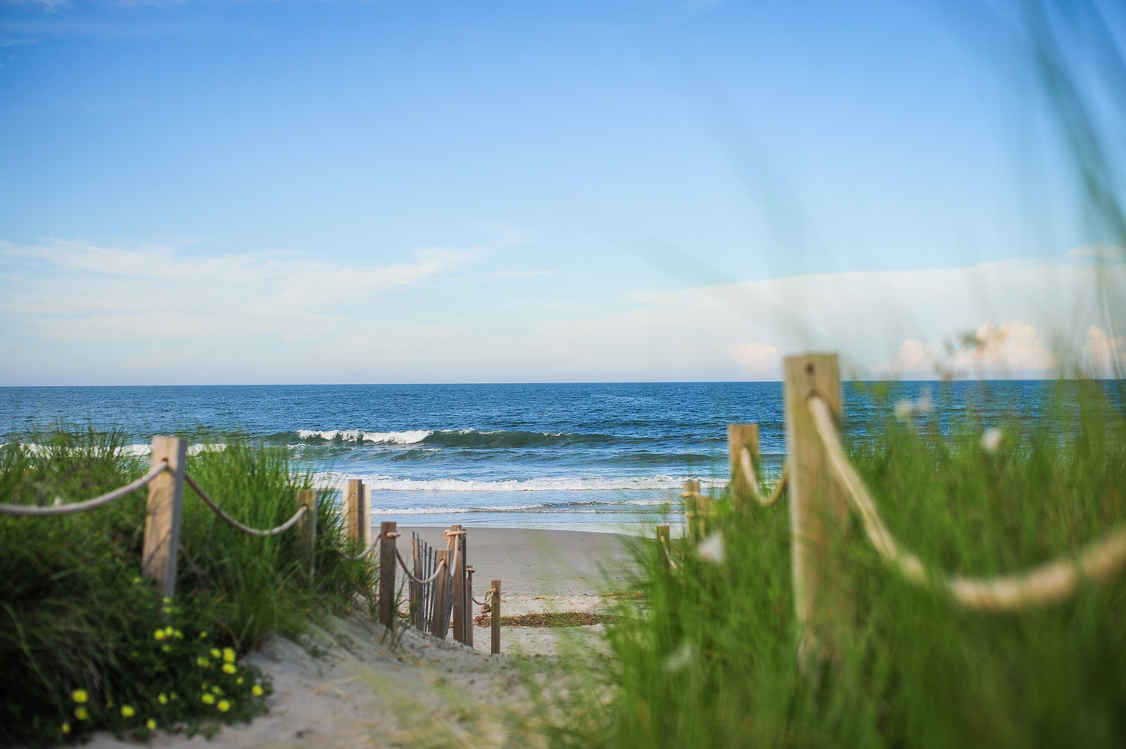 Artist Gallery - Outer Banks Photographer by Photography on The Banks ...