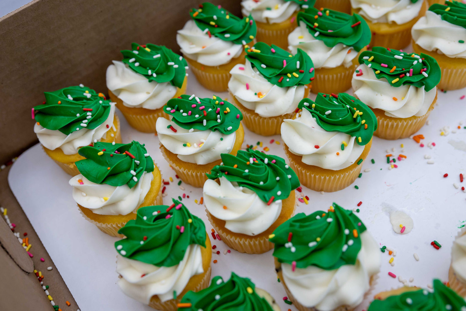 CSU Rune & Thor Birthday Celebration Preview Photos by BThomasHart ...