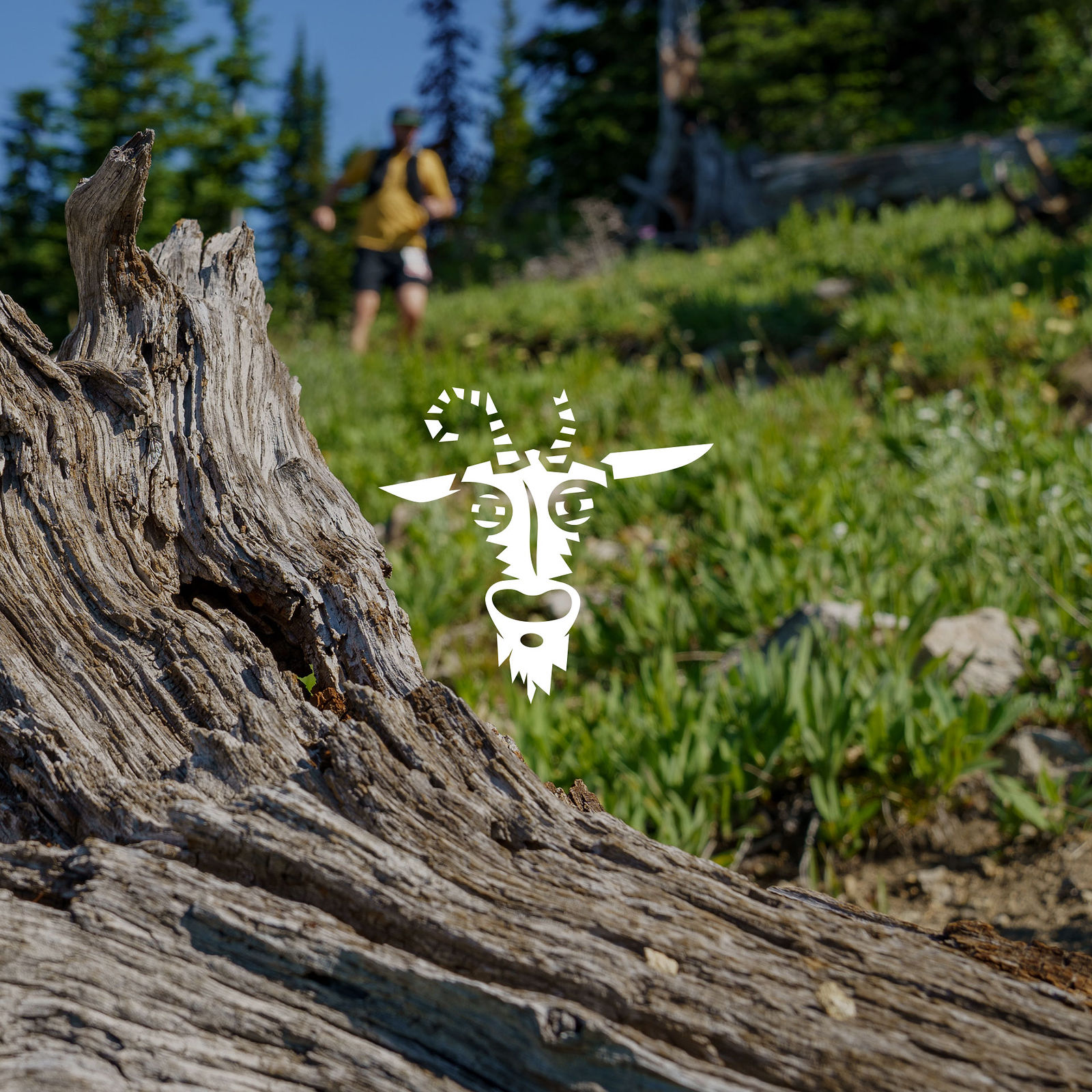 2023 Broken Goat by Folk and Wild