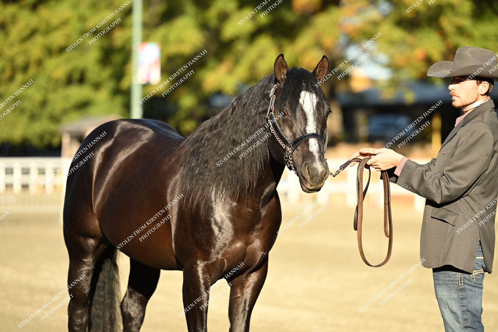 NC State Fair 2024: SunnySide Show & Ranch Show by Kirsten Hannah ...