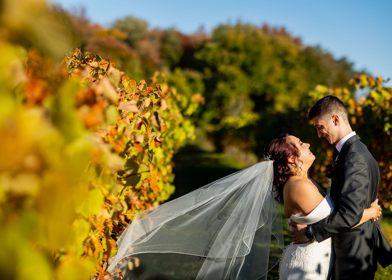 Emily & Justin Wedding @ Valenzano Family Winery, Shamong NJ by ...
