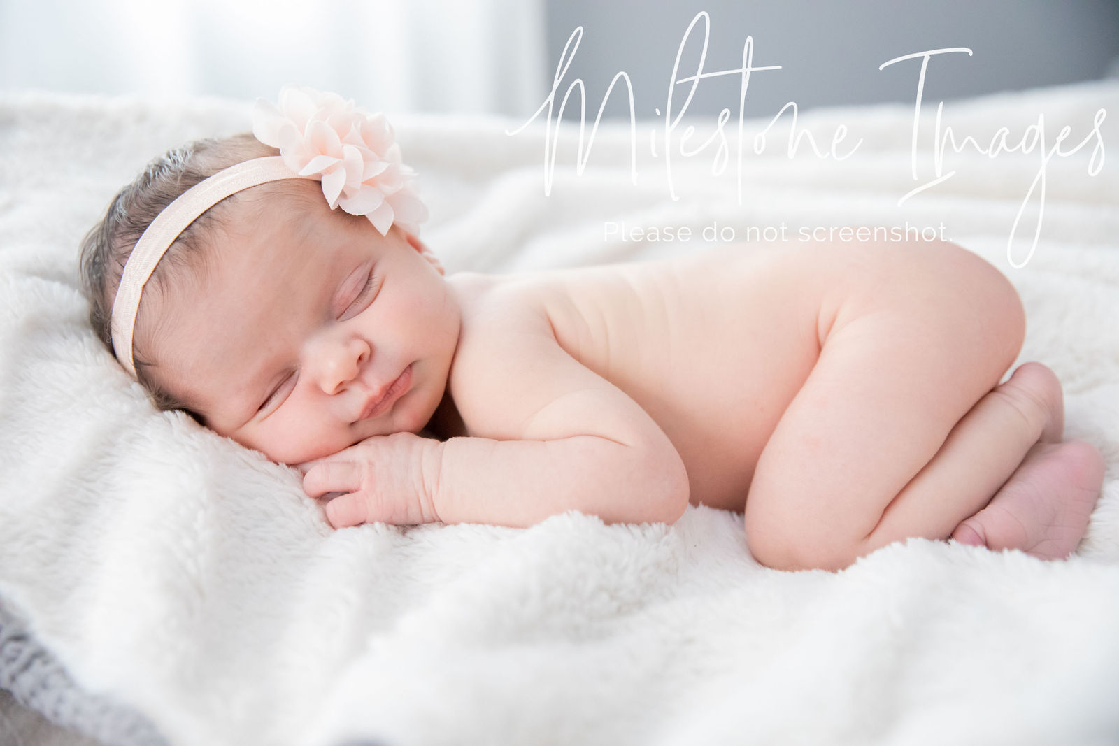 Albero Newborn Mini-Session by Milestone Images