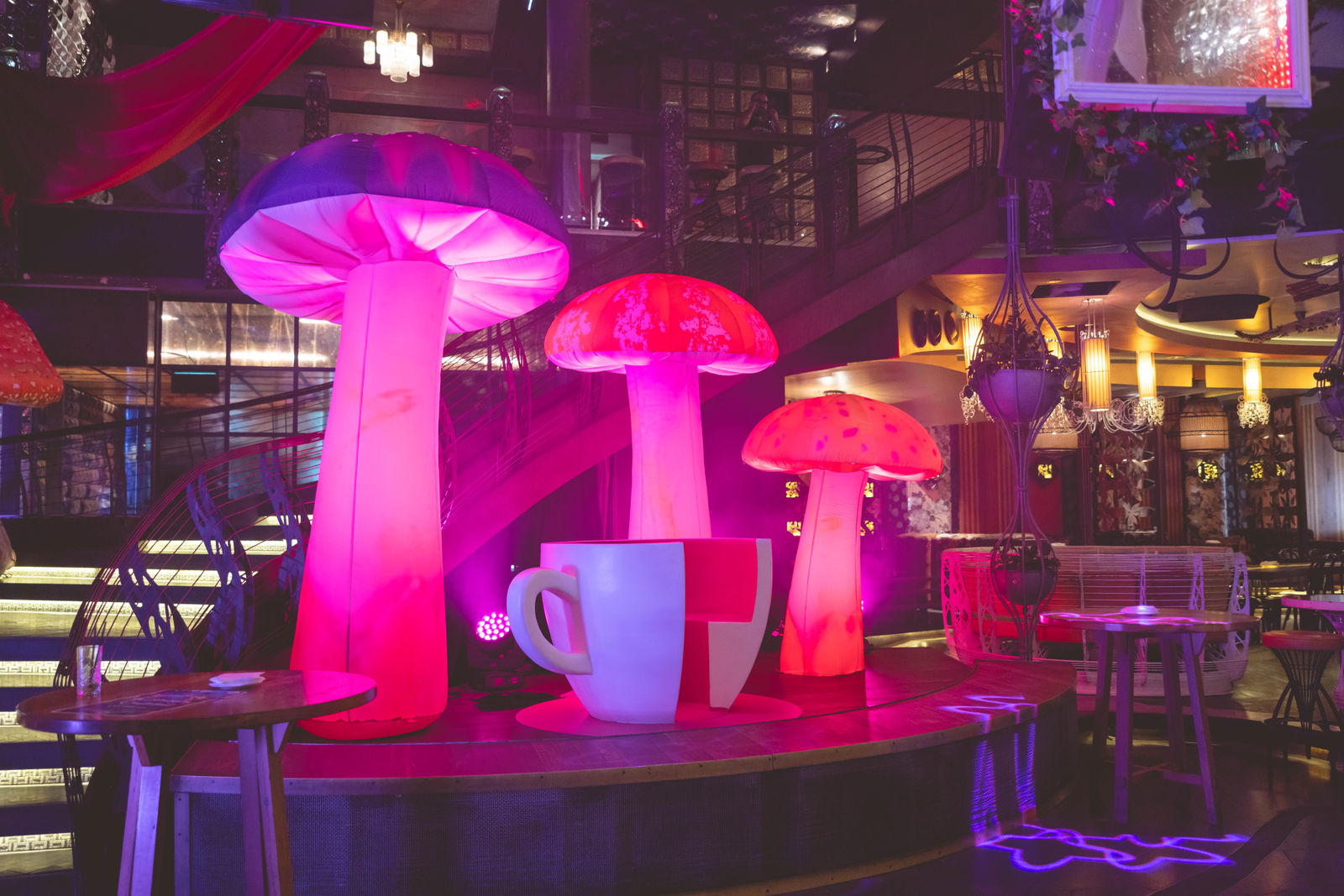 QUT Business Ball 2023 - An Evening in Wonderland by Shaun Moon Photography