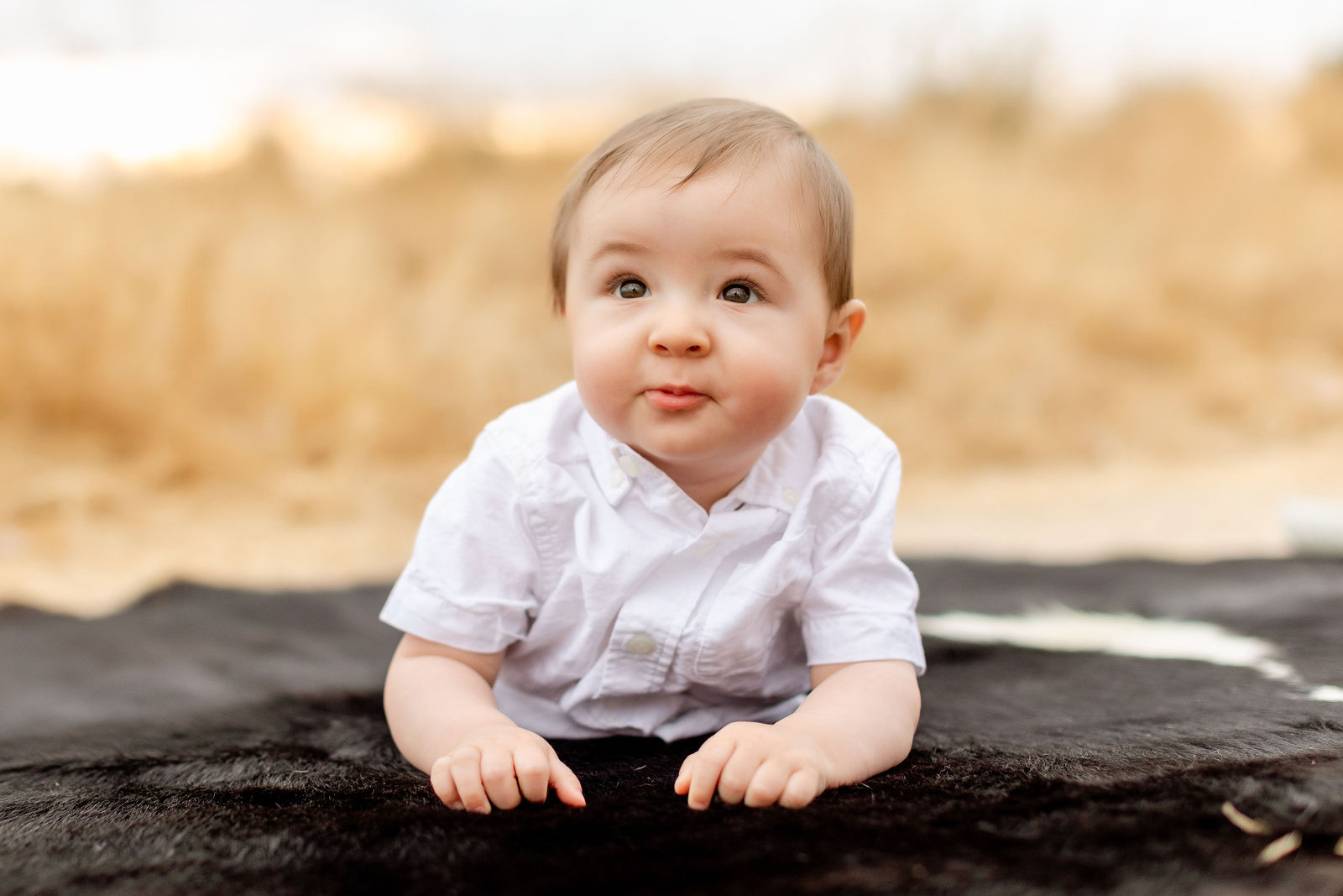 Alvidrez by Steph Young Photo