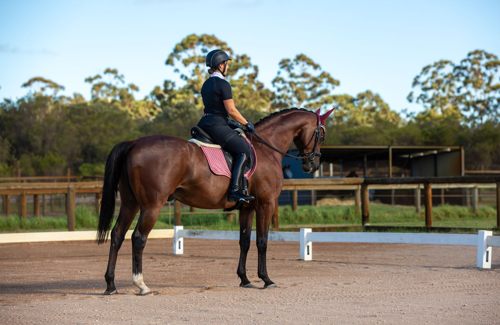 K&K Equine Autumn Protocol- Event 1 by Kelly Thomas Productions
