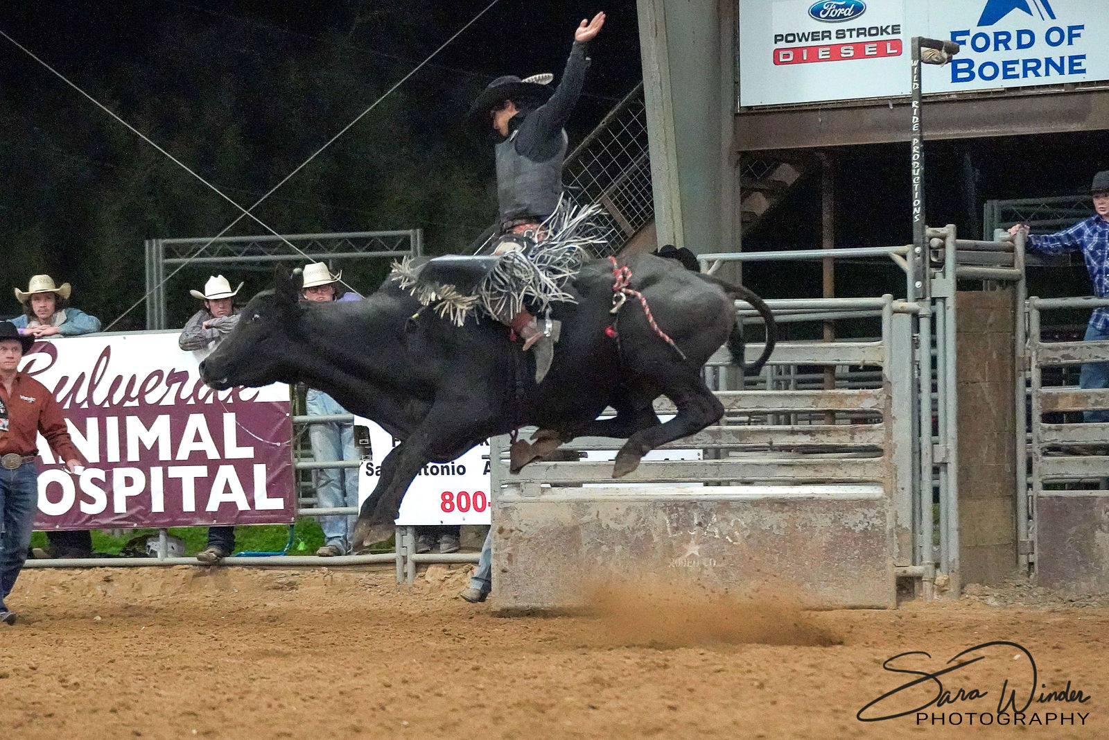 Tejas Rodeo Photos by Sara Winder Photography