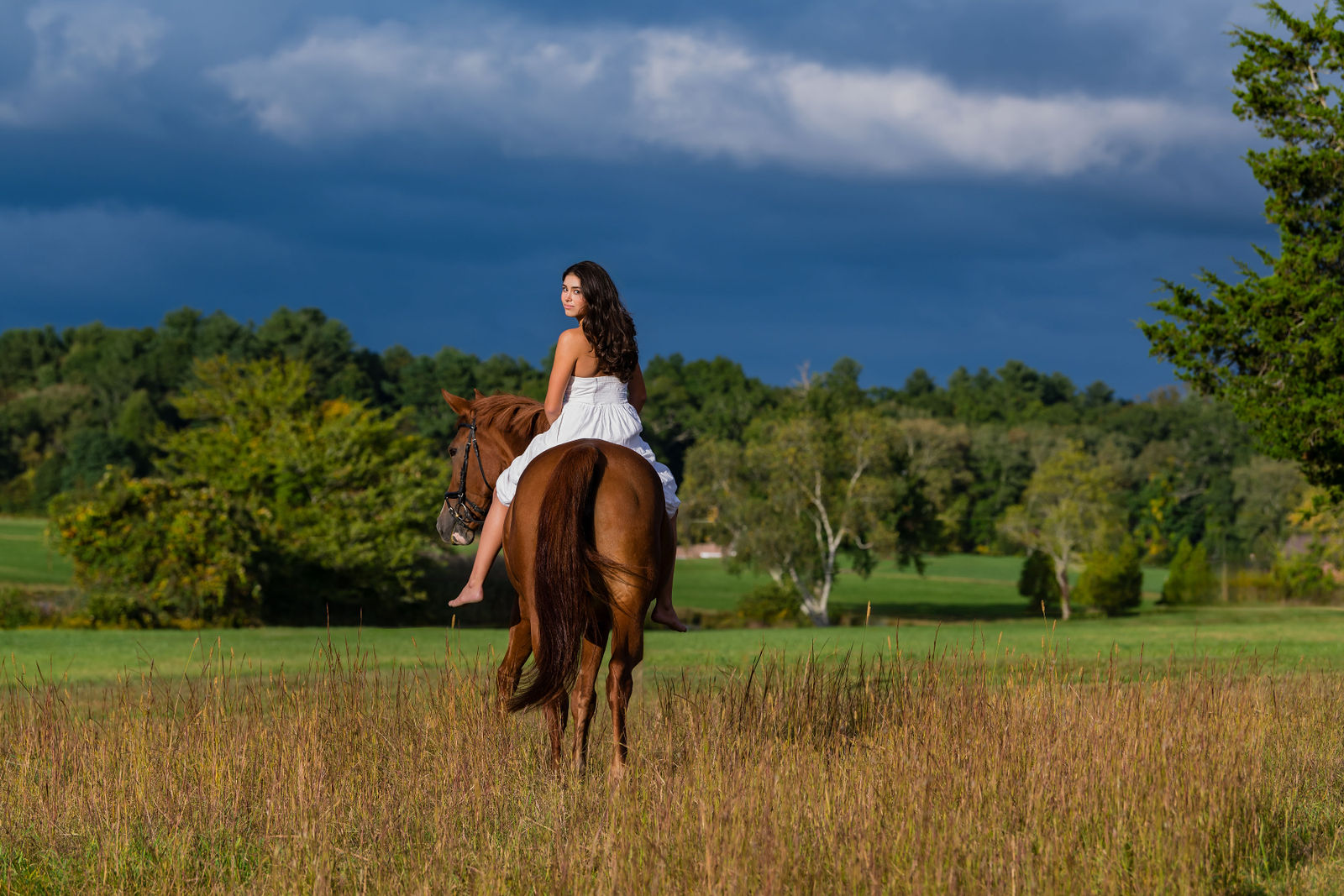 Equestrian Shoot by Stefy Hilmer Photography LLC