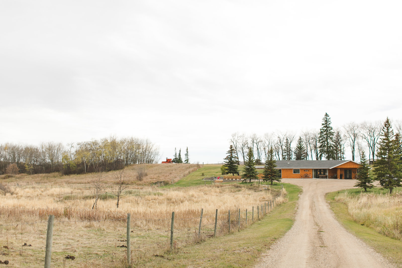 FRENCH | EXTENDED FAMILY by Starr Mercer Photography