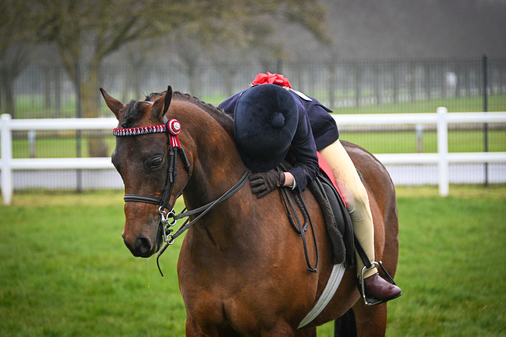 BSPS Area 9A Hereford Marches Spring Show 2025 by EquinePix Photography