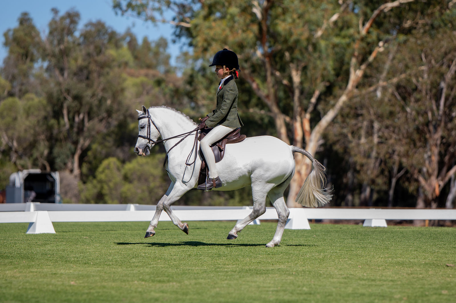 Riverside Riding Club- Advanced Feeds Sash & Cash Hack Day by Kelly ...