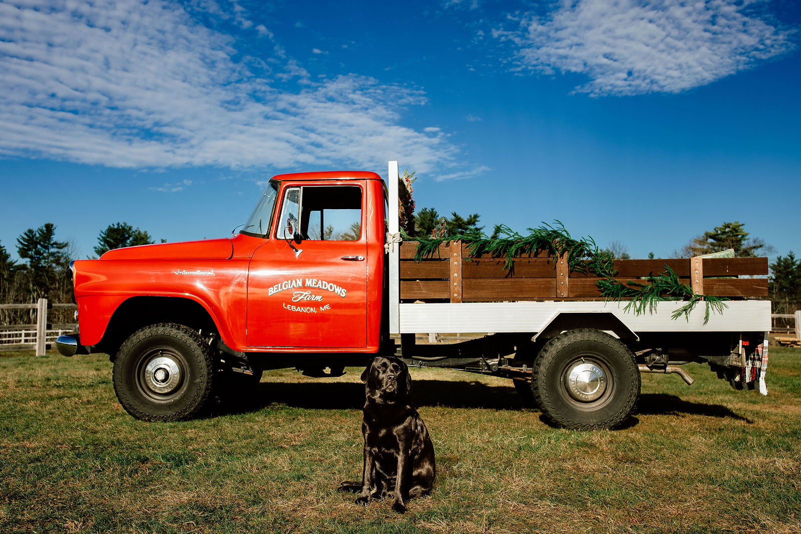 Belgian Meadows Farm by Pixel Perfect Weddings / High Vibe Boudoir