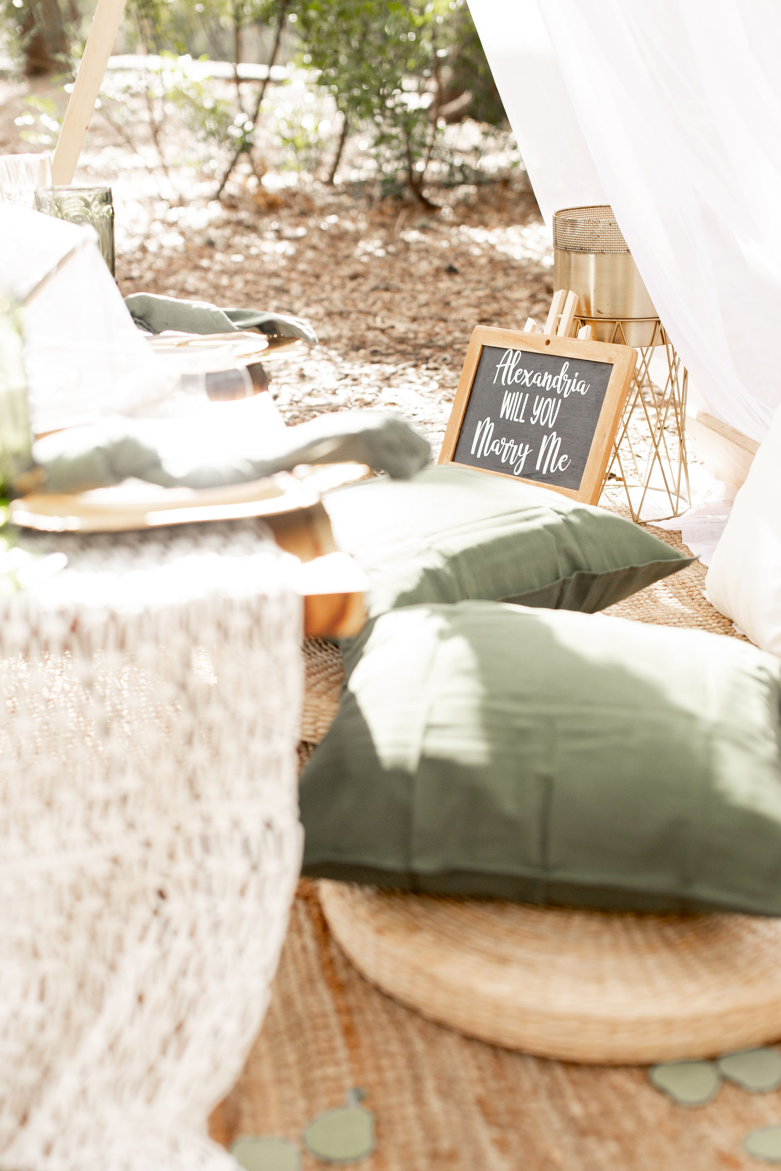 Richard + Alex Proposal by Hern Photography