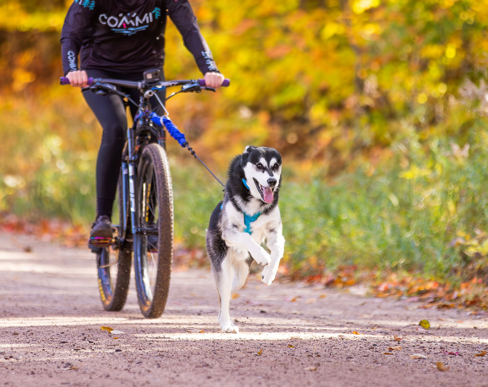 Events - Wander into Focus