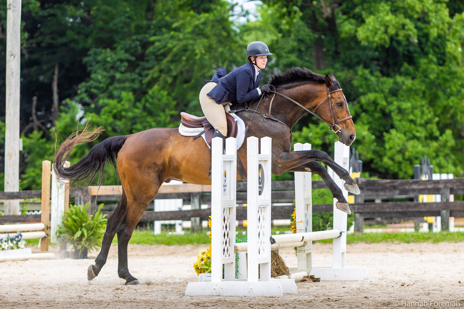 Morningside Stables HJ 6/22/25 by Hannah Foreman Photos