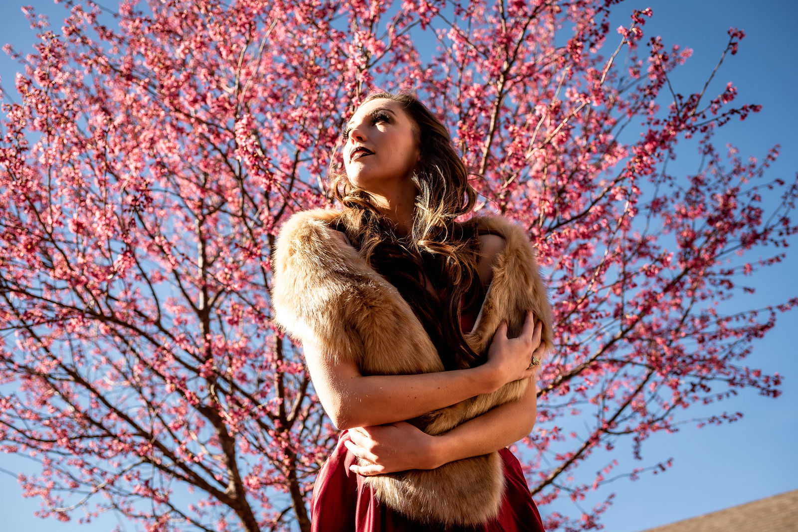 Meredith by Ariane Reina Photography