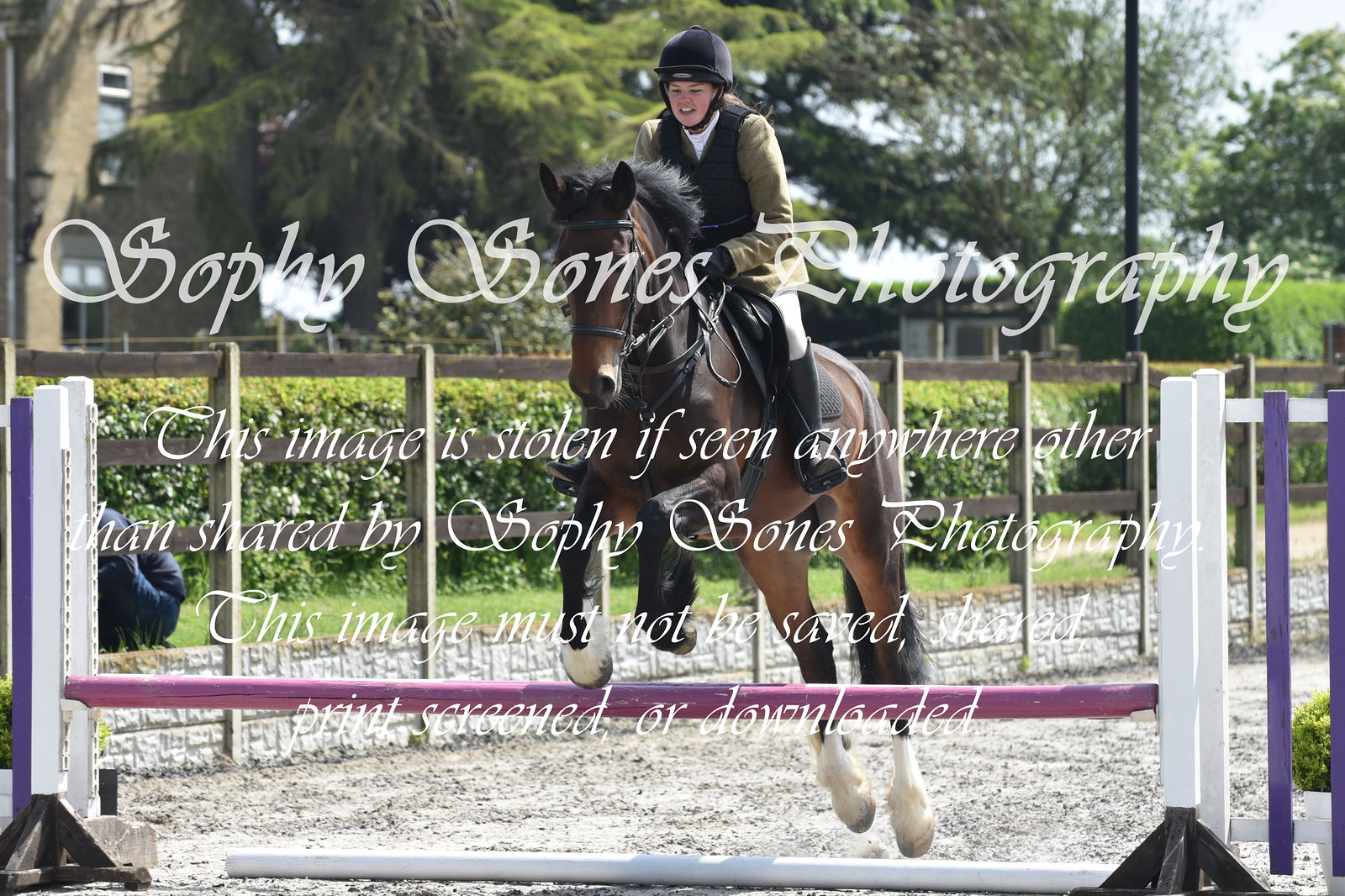 Show Jumping at Grey Fern Park by Sophy Sones Photography