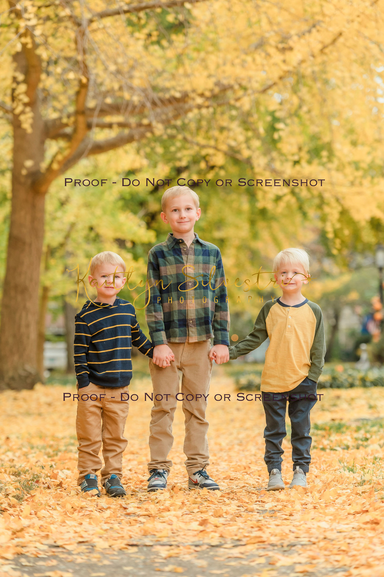 Kinner | Fall 2024 by Kaitlyn Silvestri Photography