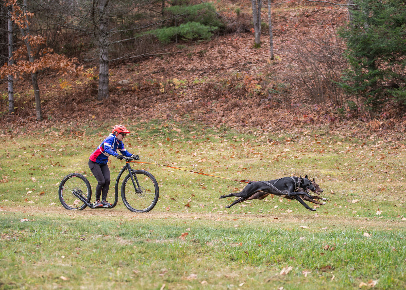 Events - Wander into Focus