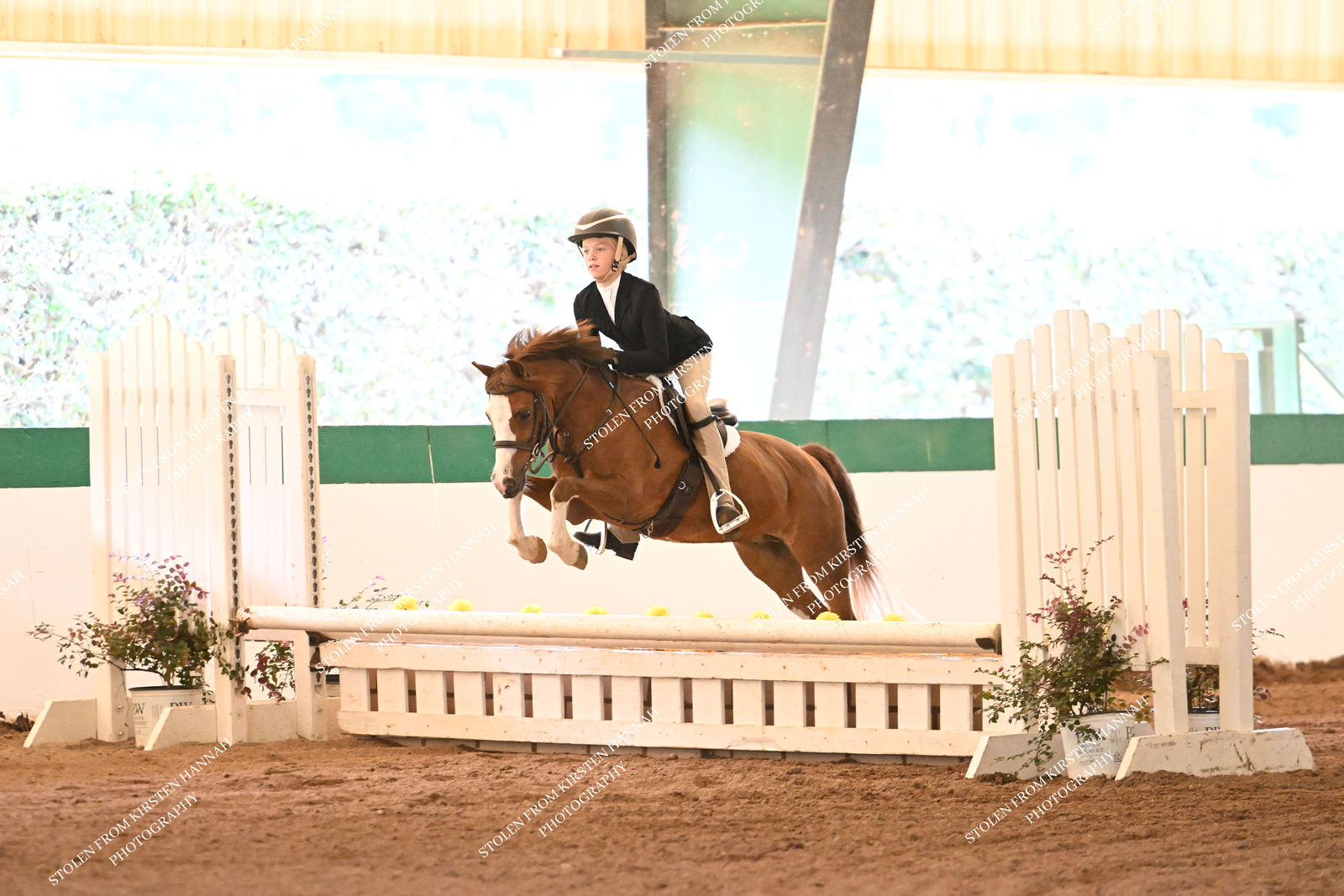 Triangle Farms Summer Indoors 2 "C" by Kirsten Hannah Photography LLC