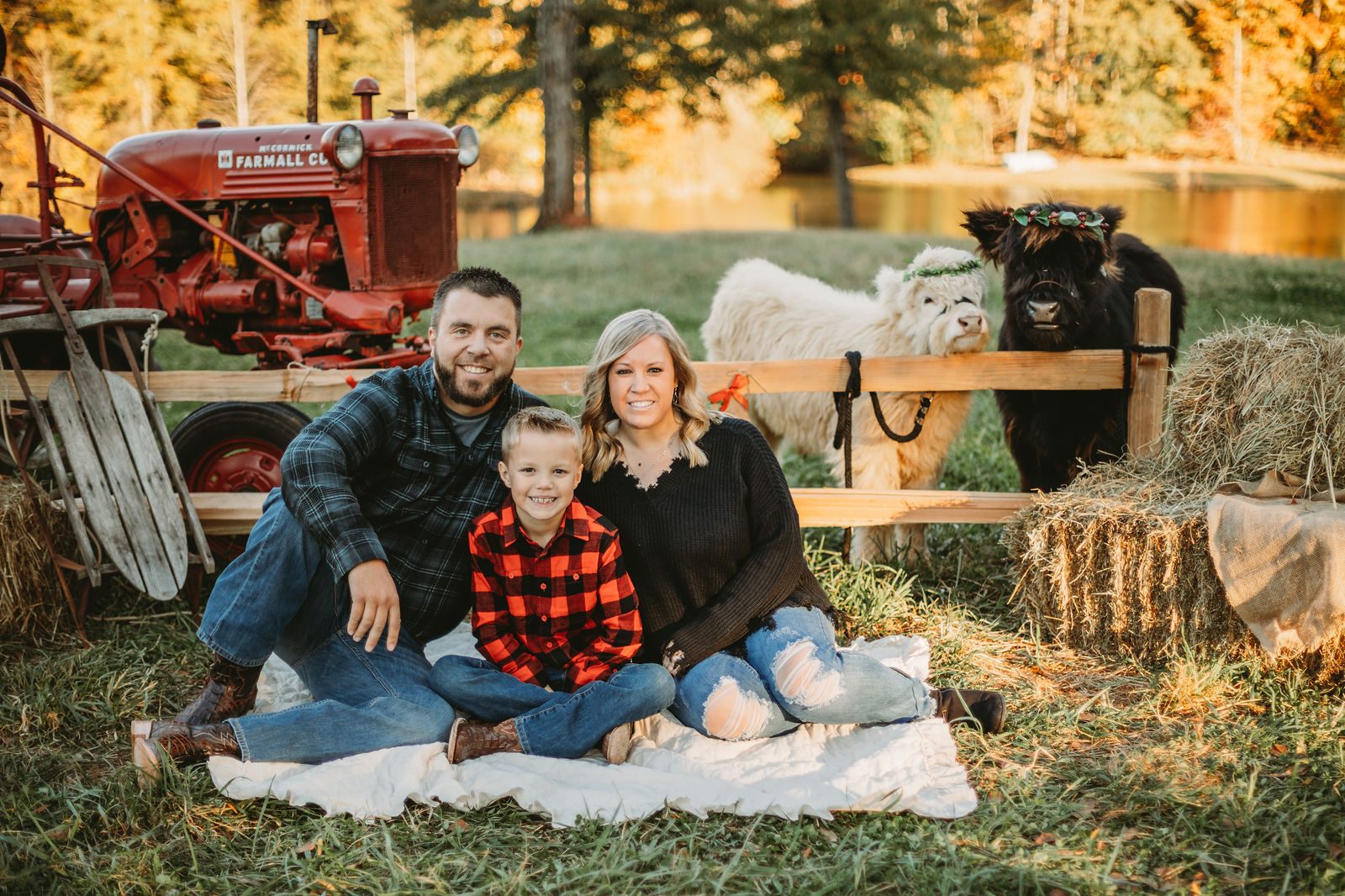 Christmas Cow | Johnson by Maddie Westbrook Photography