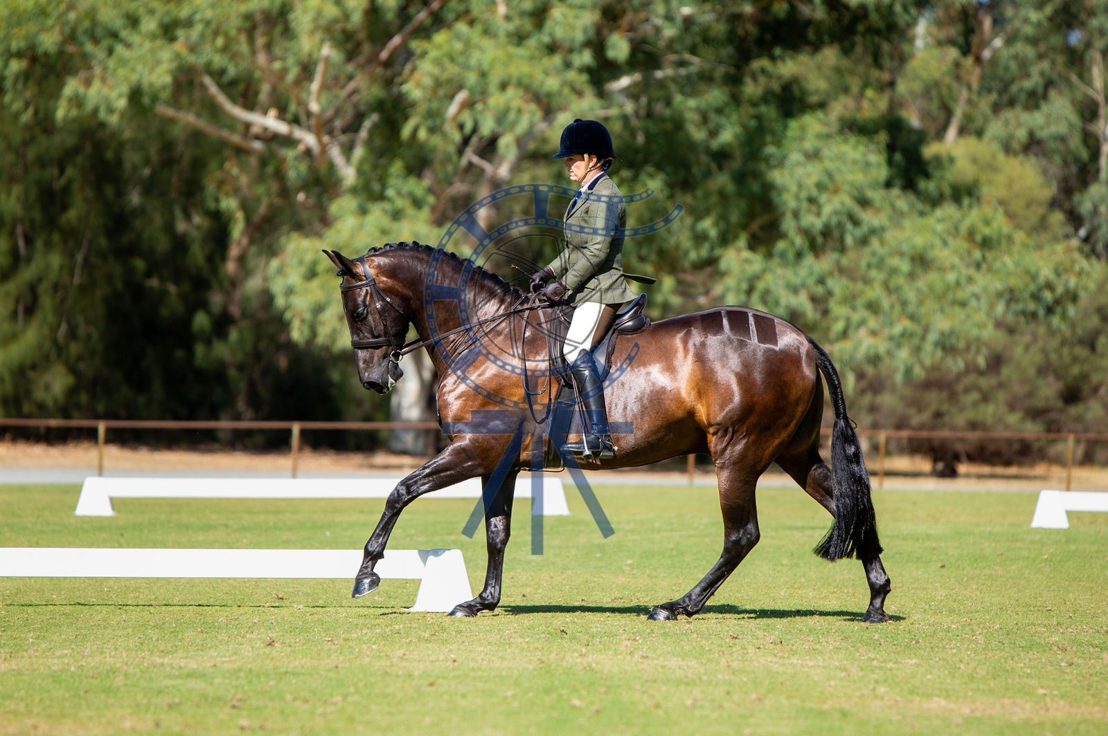 2024 Advanced Feeds Riverside Show by Kelly Thomas Productions