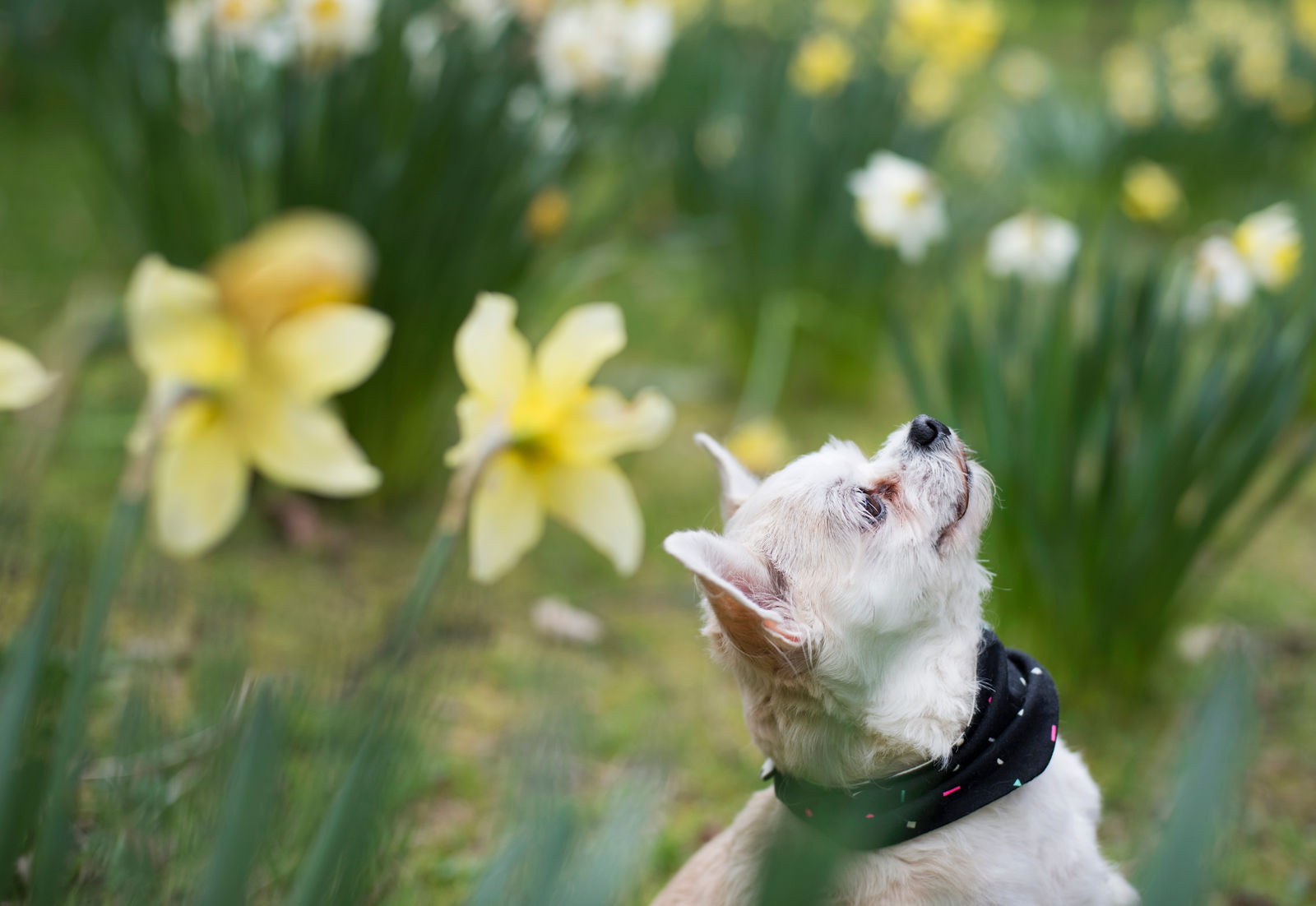 Jennifer + Poppy by Wild Soul Photography