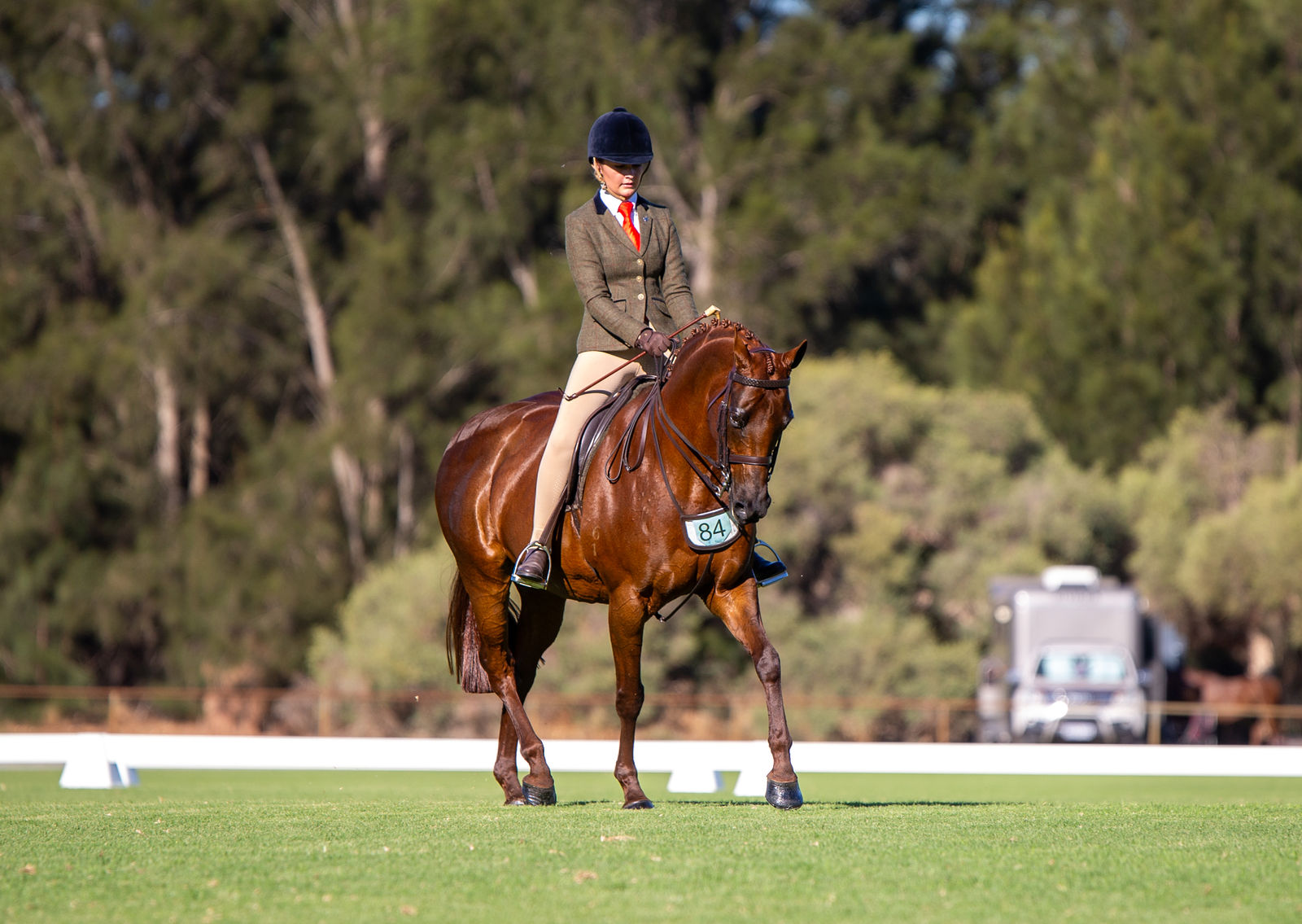 SHCWA 2024 Classic by Kelly Thomas Productions