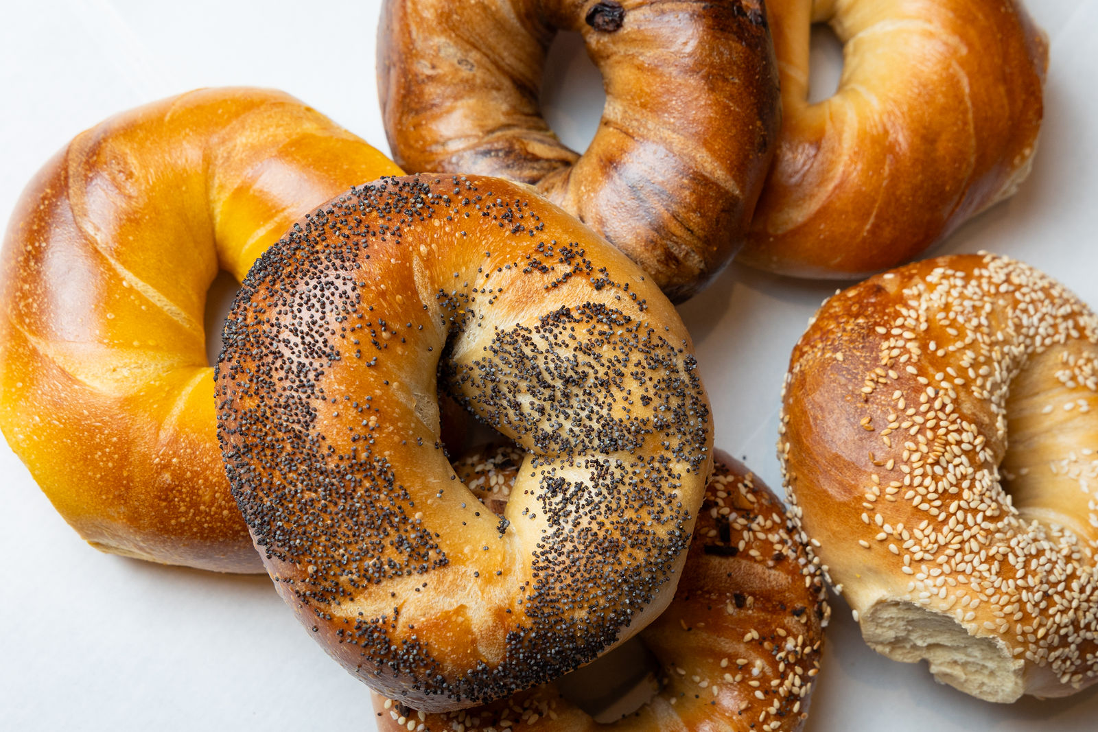 Gotham Bagels by Austin Handler Photography