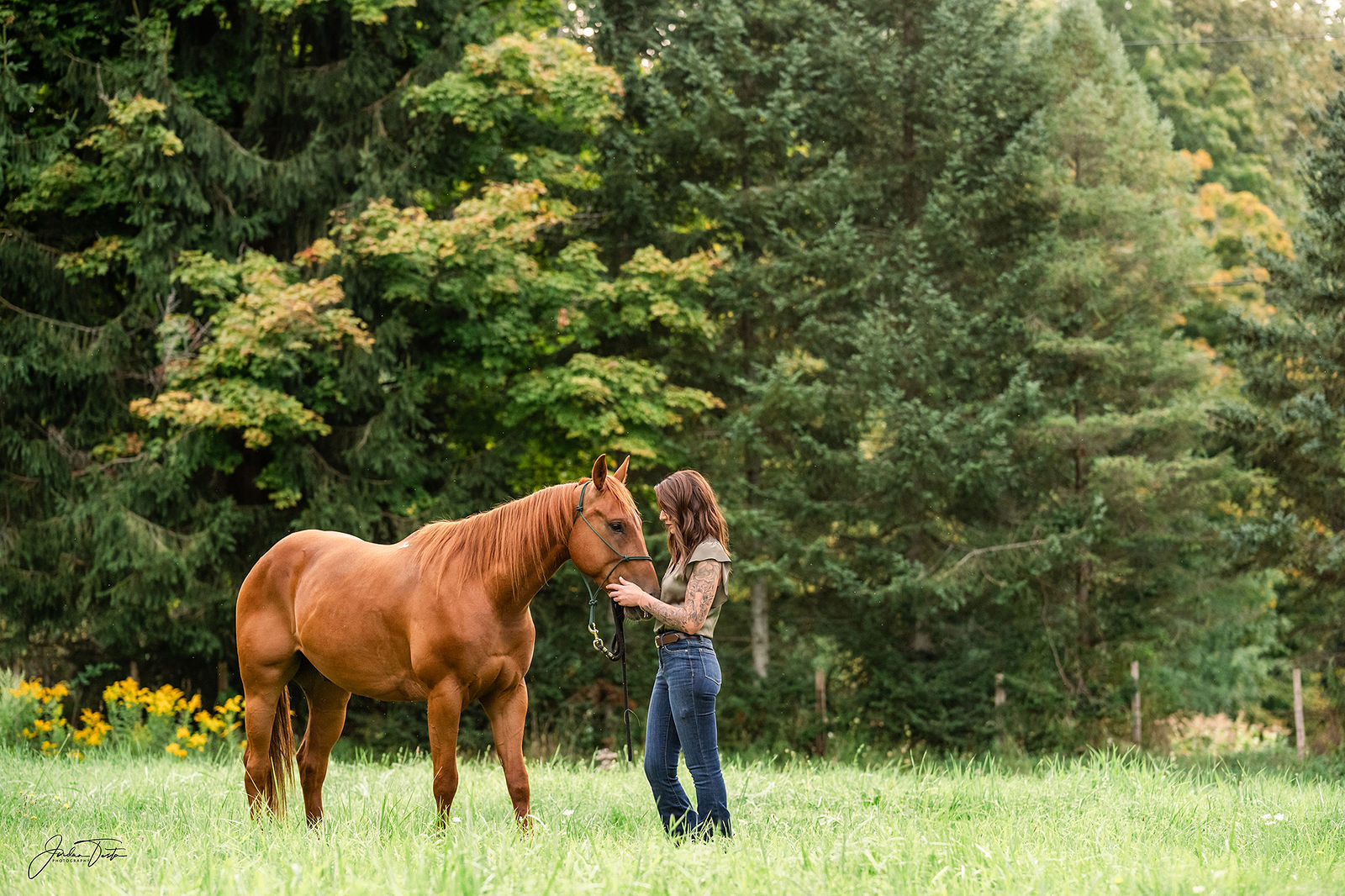 Allison by Jordan Testa Photography
