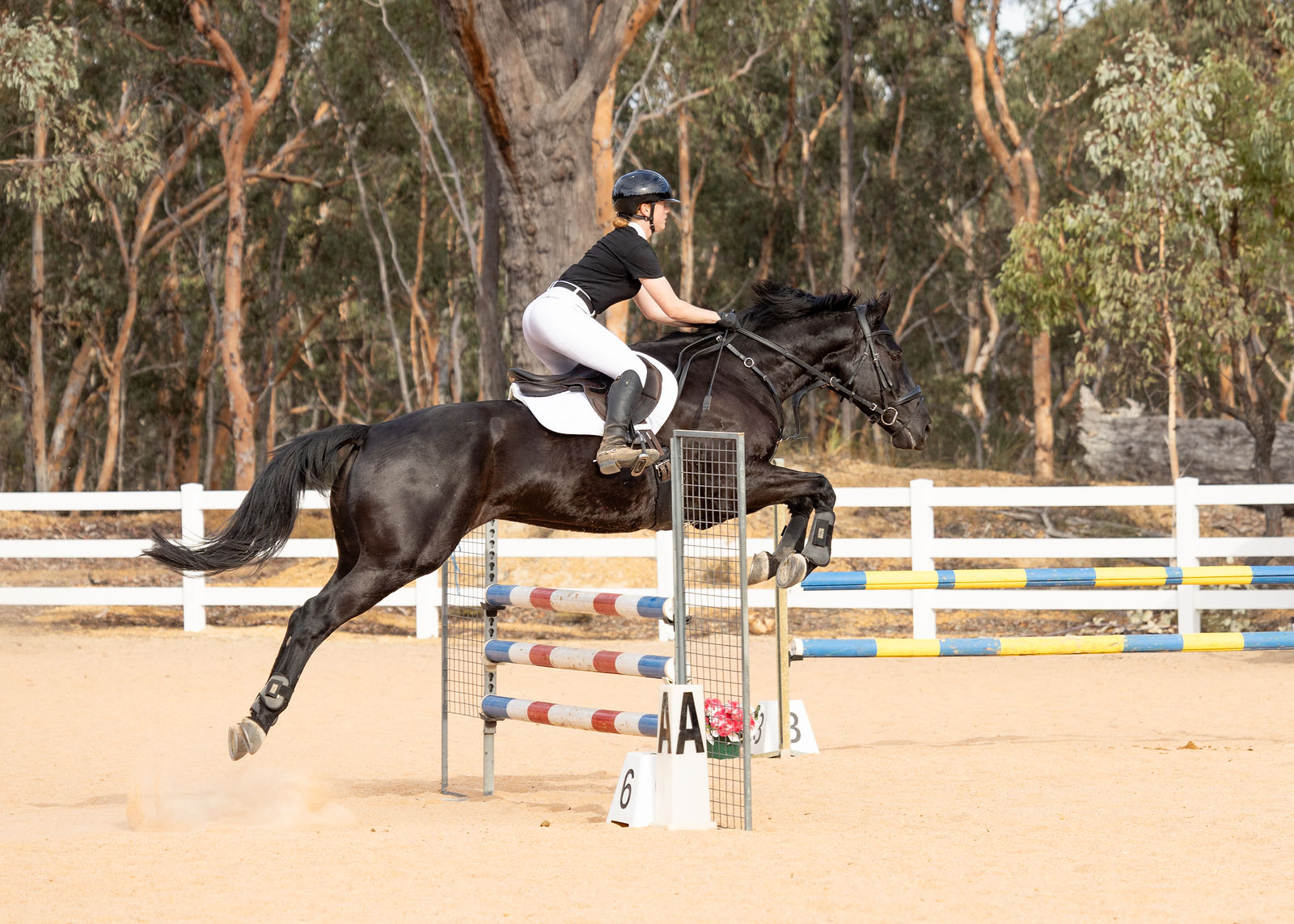 Bakers Hill ARC Show Jumping Competition by Cheryl Hanrahan Photography