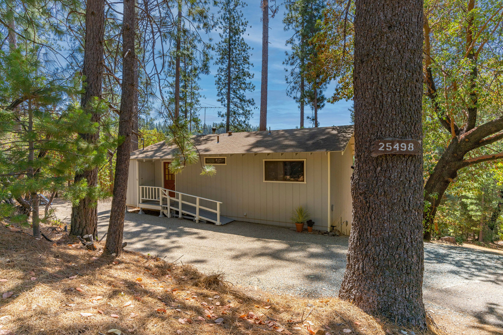 15498 Meadow by Amador Photo