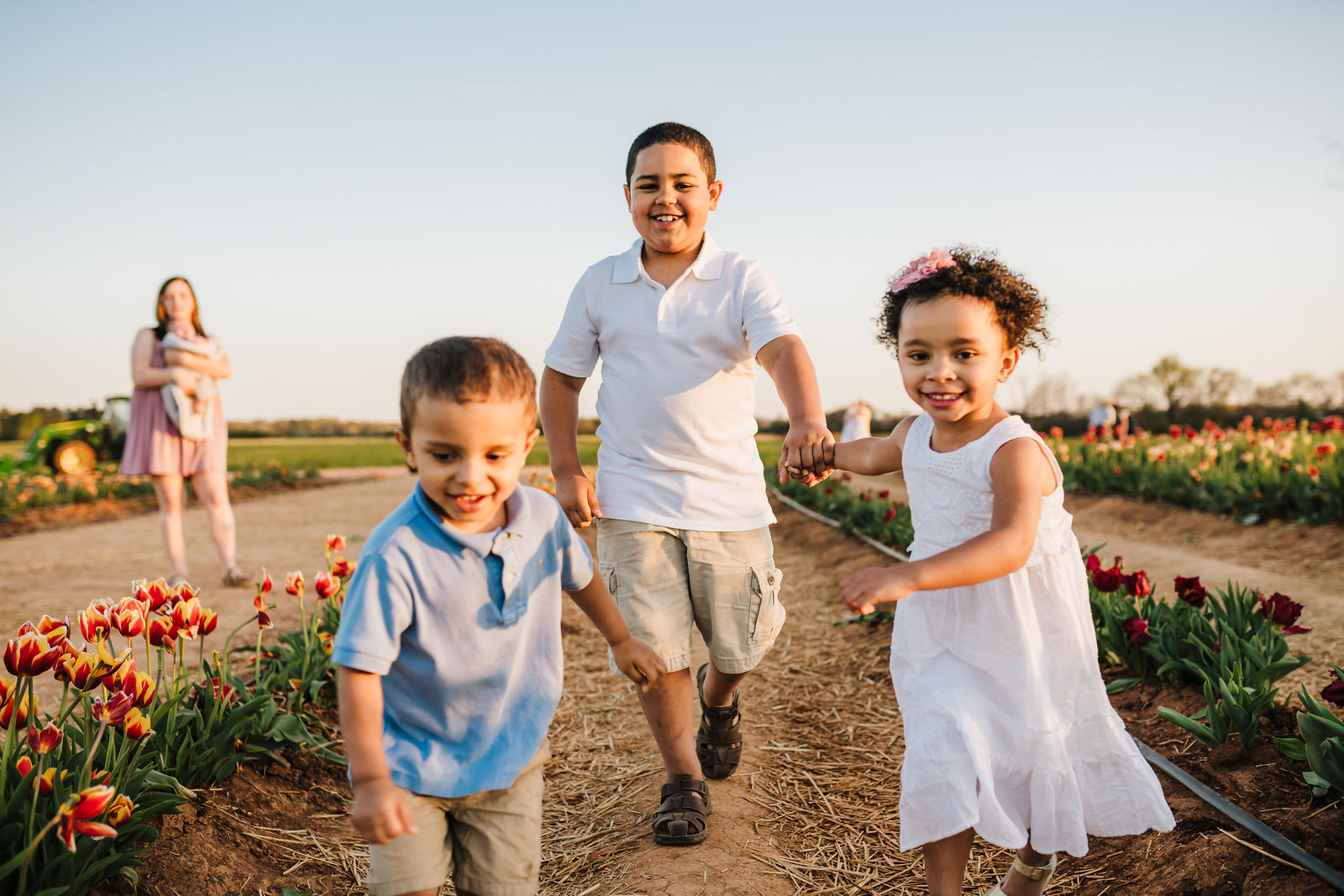 Tulip Farm - Katelynn Counts by Freeman & Co. Photography