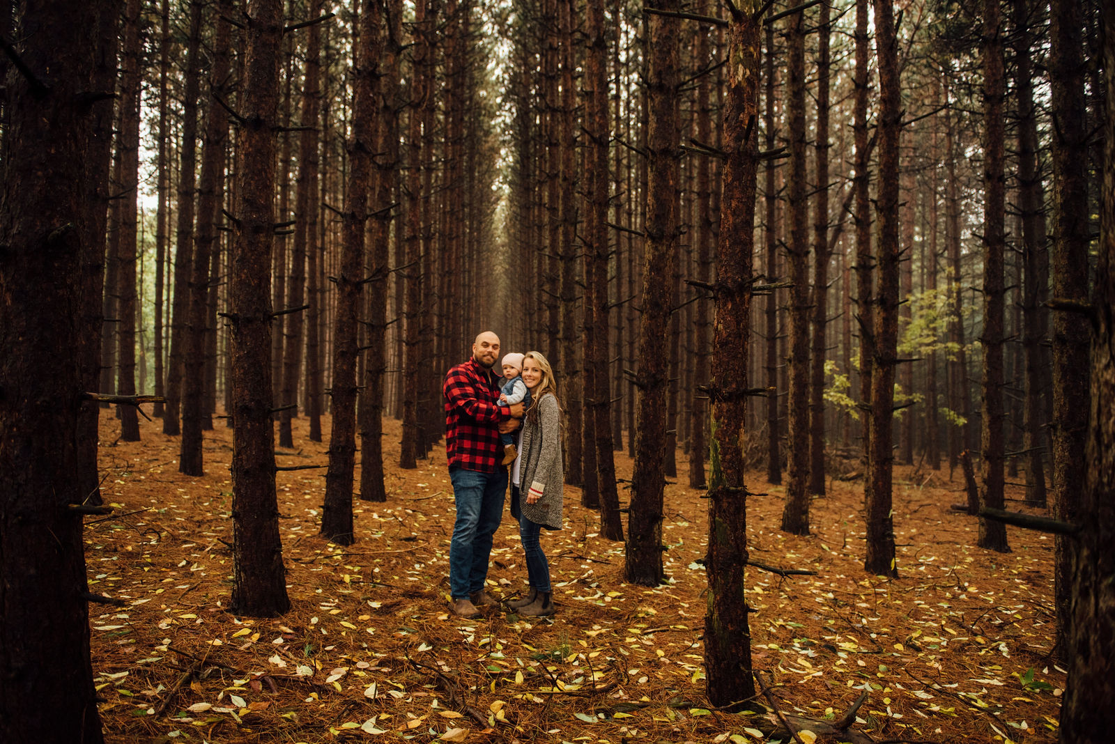 The Boakes by The Likely Creatives