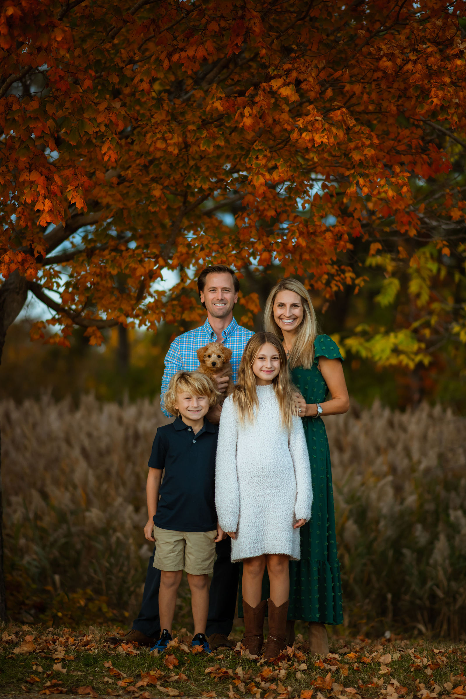 The Romesburg Family by Allison Niccole Creatives