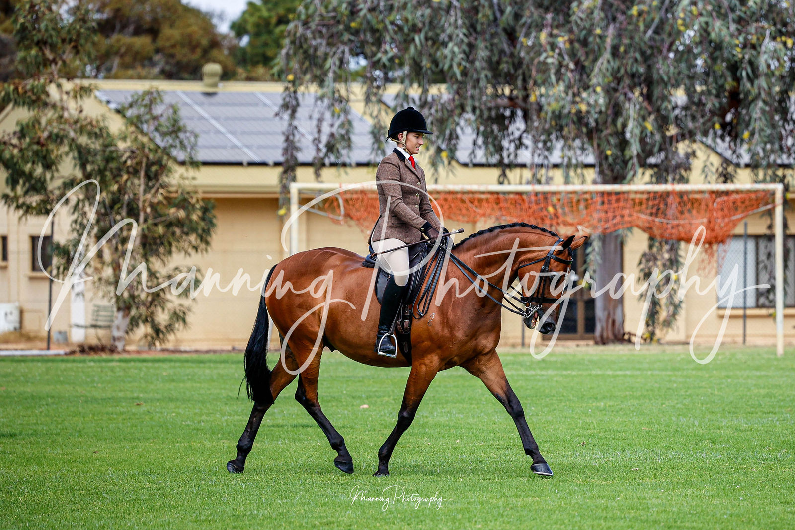 Loxton Ag Hack Ring by Manning Photography