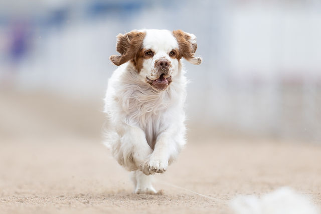 Portfolio Copy - Tiffany Schulze Photography