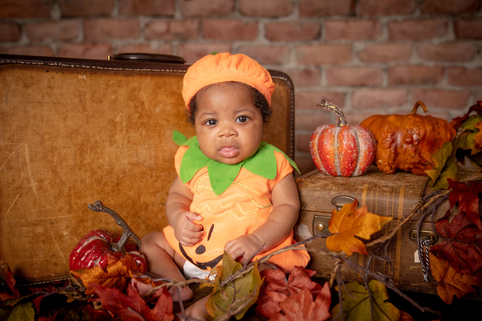 Kimble by Portrait Creations