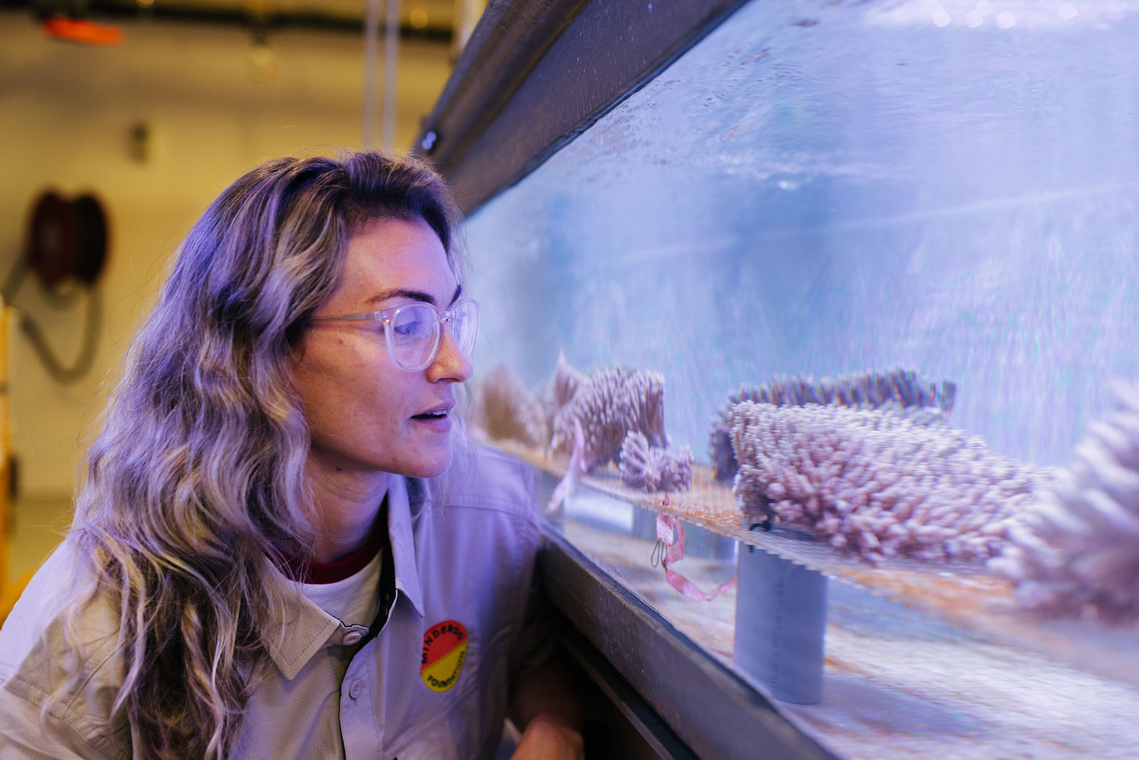 Coral Spawn -Minderoo Exmouth Research Lab by Blue Media Exmouth