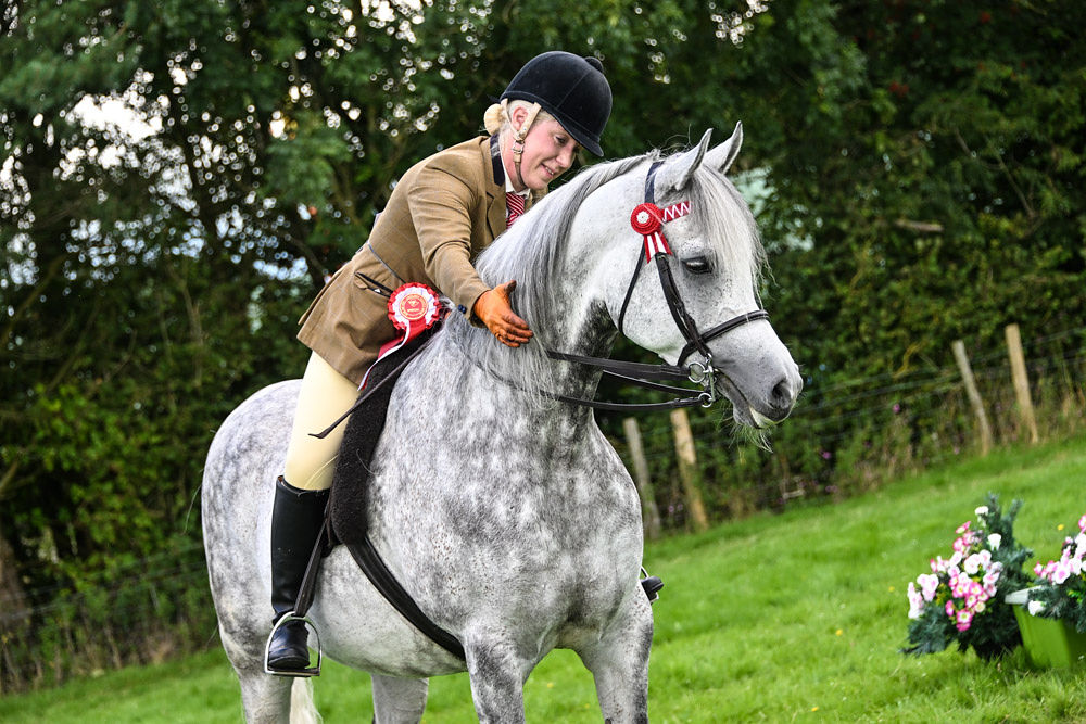 Sioe Sir Fon / Anglesey County Show 2023 by EquinePix Photography