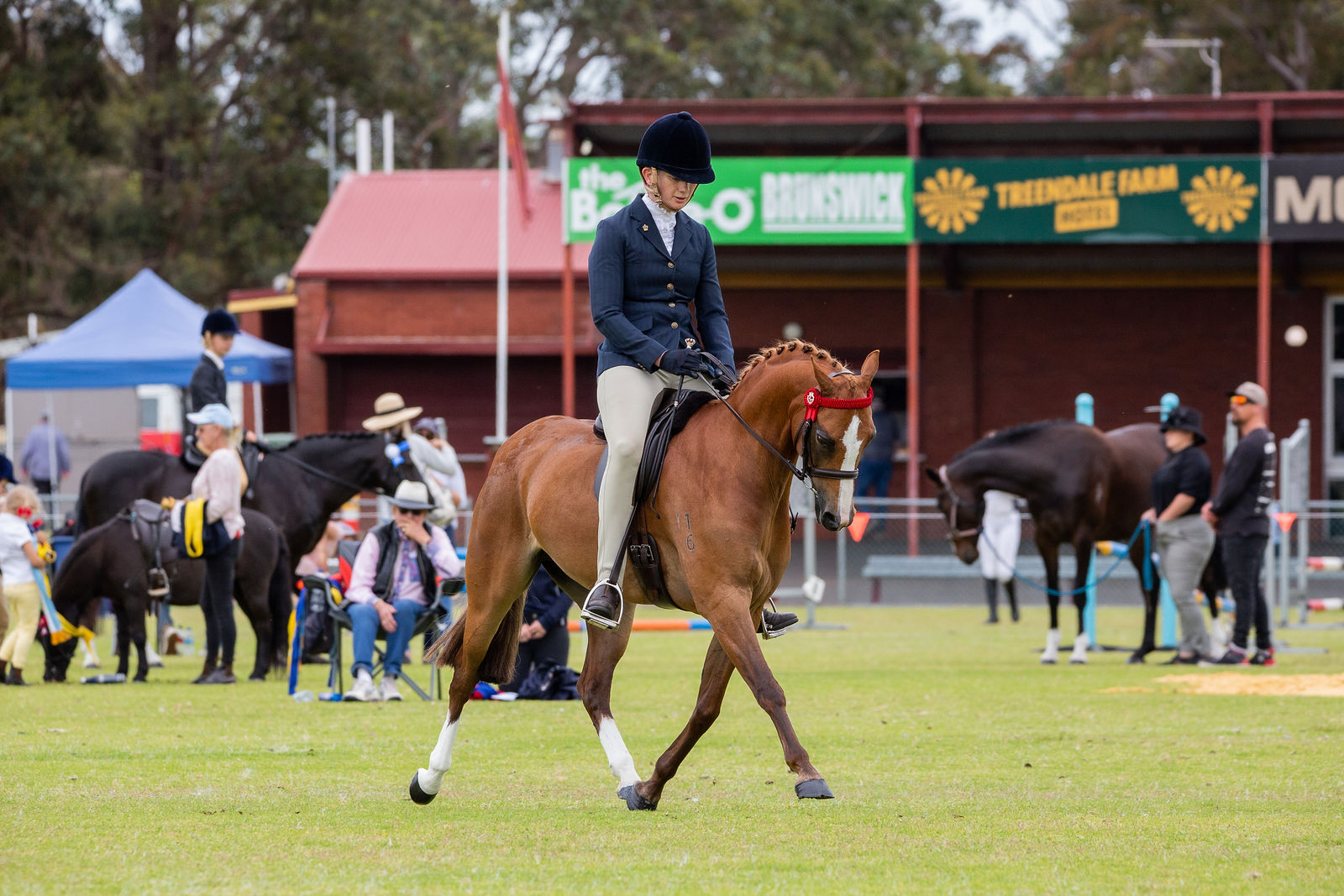 BRUNSWICK AG SHOW by Christie Lyn Photography